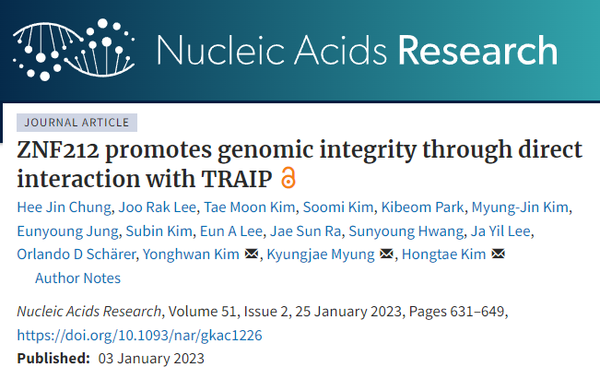 UNIST 공동연구팀, 손상된 DNA 복구할 수 있는 단백질 발견