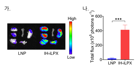 KAIST, 흡입 치료에 최적화된 mRNA 전달체 개발