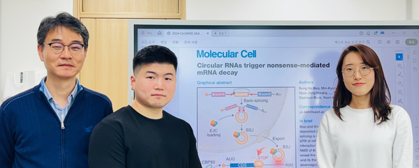 KAIST, 원형 RNA 이용해 새로운 형태의 유전자 발현 조절 기전 규명