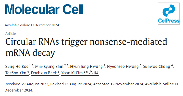 KAIST, 원형 RNA 이용해 새로운 형태의 유전자 발현 조절 기전 규명